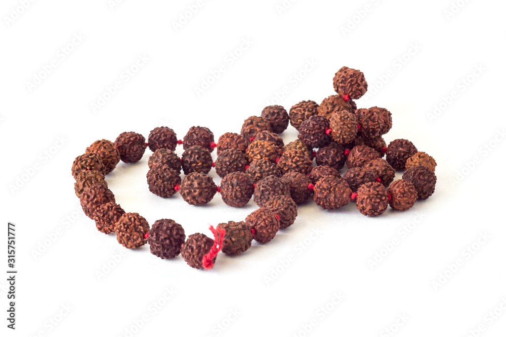rosary of red brown rudraksha seeds close-up isolated on a white ...
