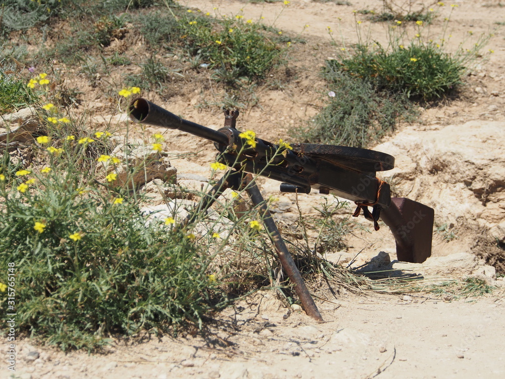 Degtyarev hand machine gun, one of the first examples of small arms ...