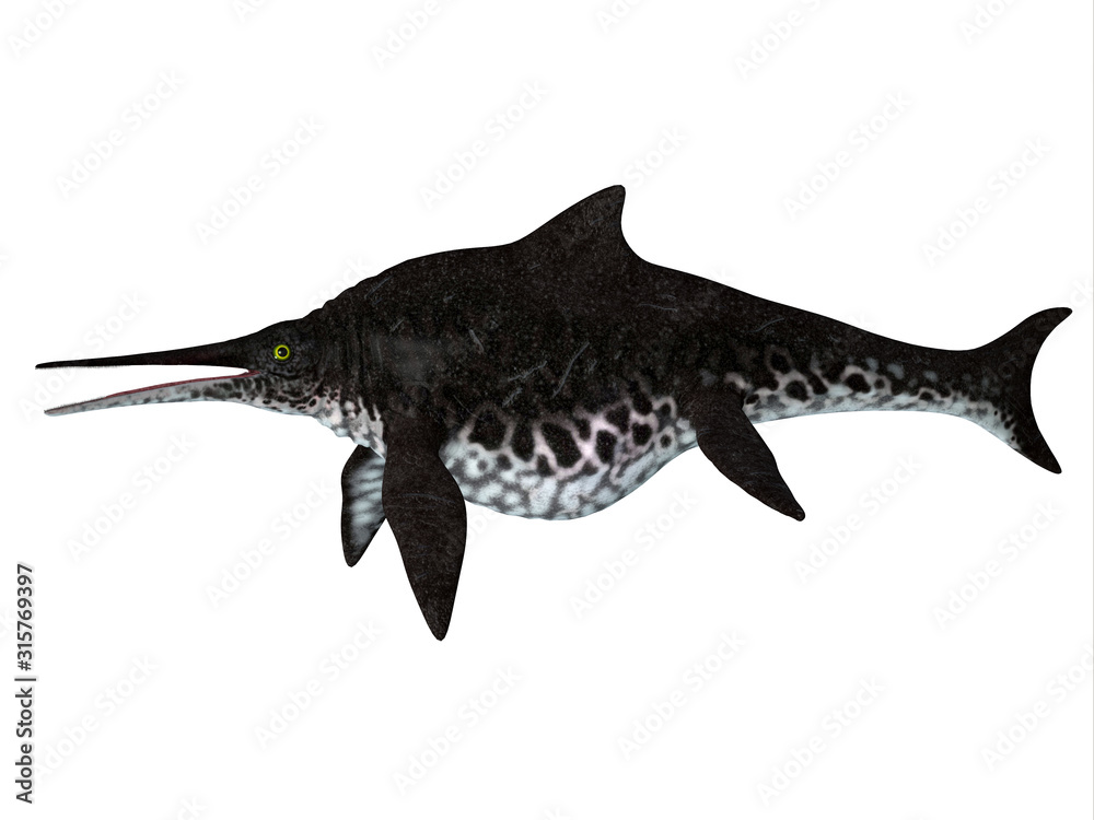 Shonisaurus Ichthyosaur Side Profile - Shonisaurus popularis was an ...