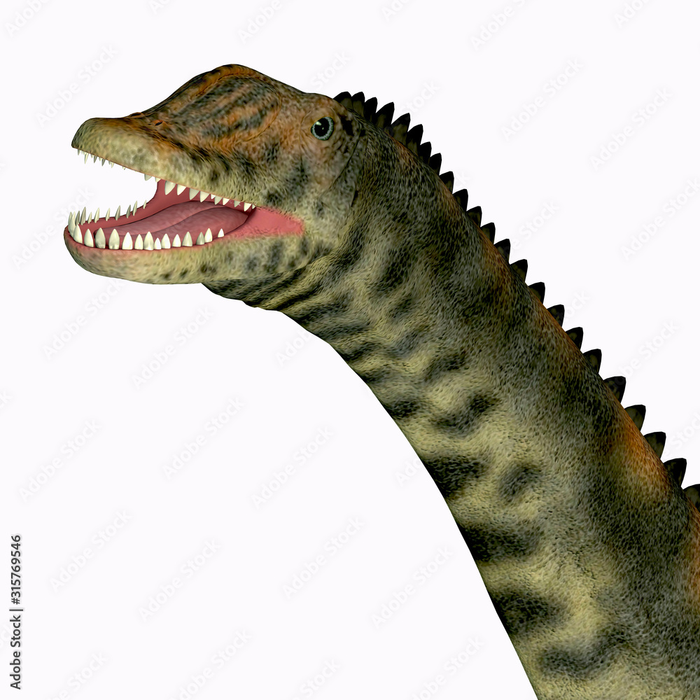 Spinophorosaurus Dinosaur Head - Spinophorosaurus was a herbivorous ...