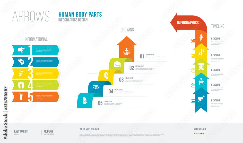 arrows style infogaphics design from human body parts concept ...