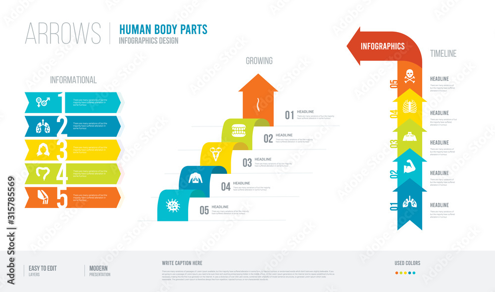 arrows style infogaphics design from human body parts concept ...