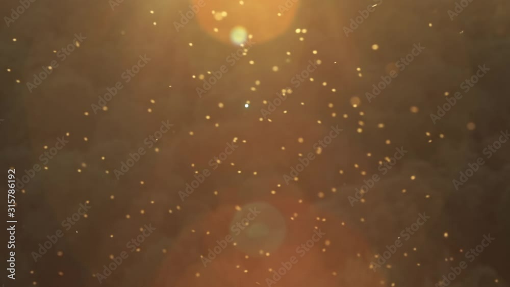 Vidéo Stock Sunset. Sun dust. Defocused particles dancing flying around ...