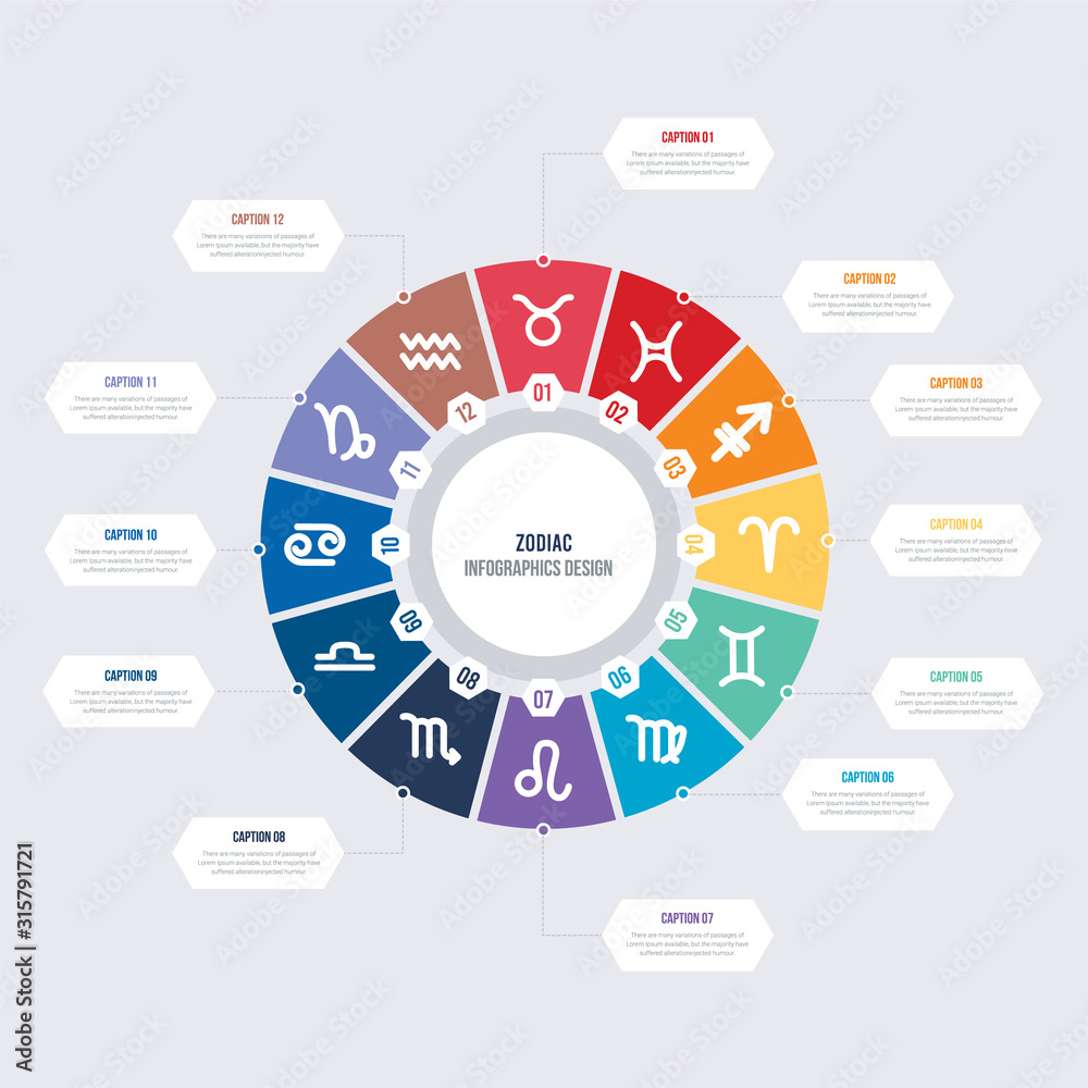 Zodiac Infographic