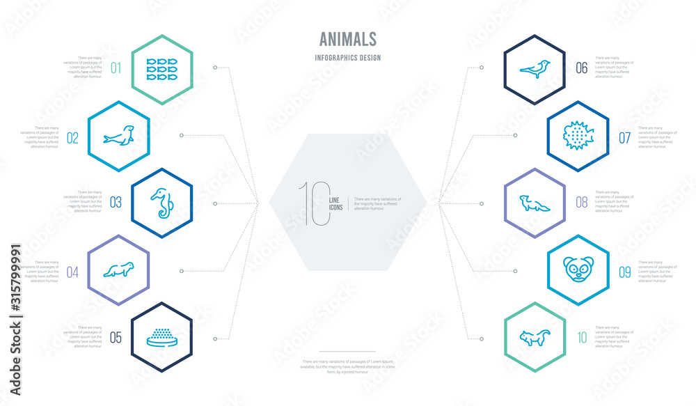 animals concept business infographic design with 10 hexagon options ...