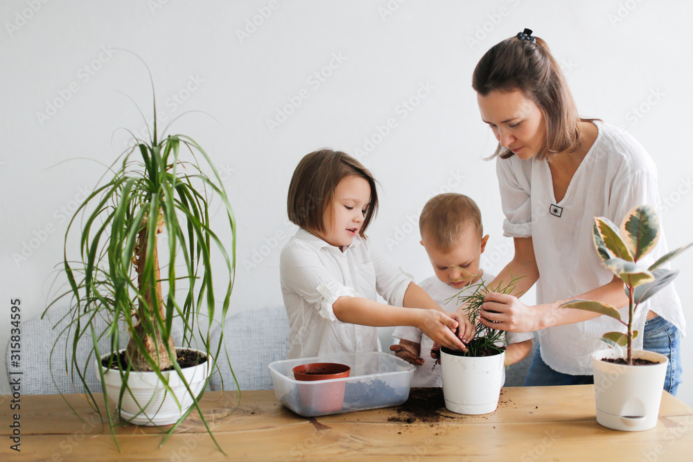Mom with two children transplant plant in new pot Stock Photo | Adobe Stock
