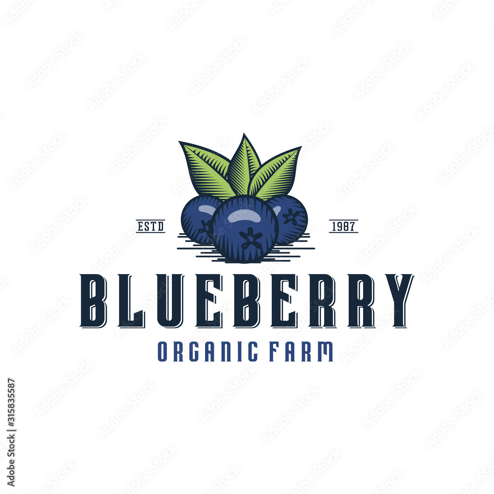 Blueberry Farm vintage logo design inspiration Stock Vector | Adobe Stock
