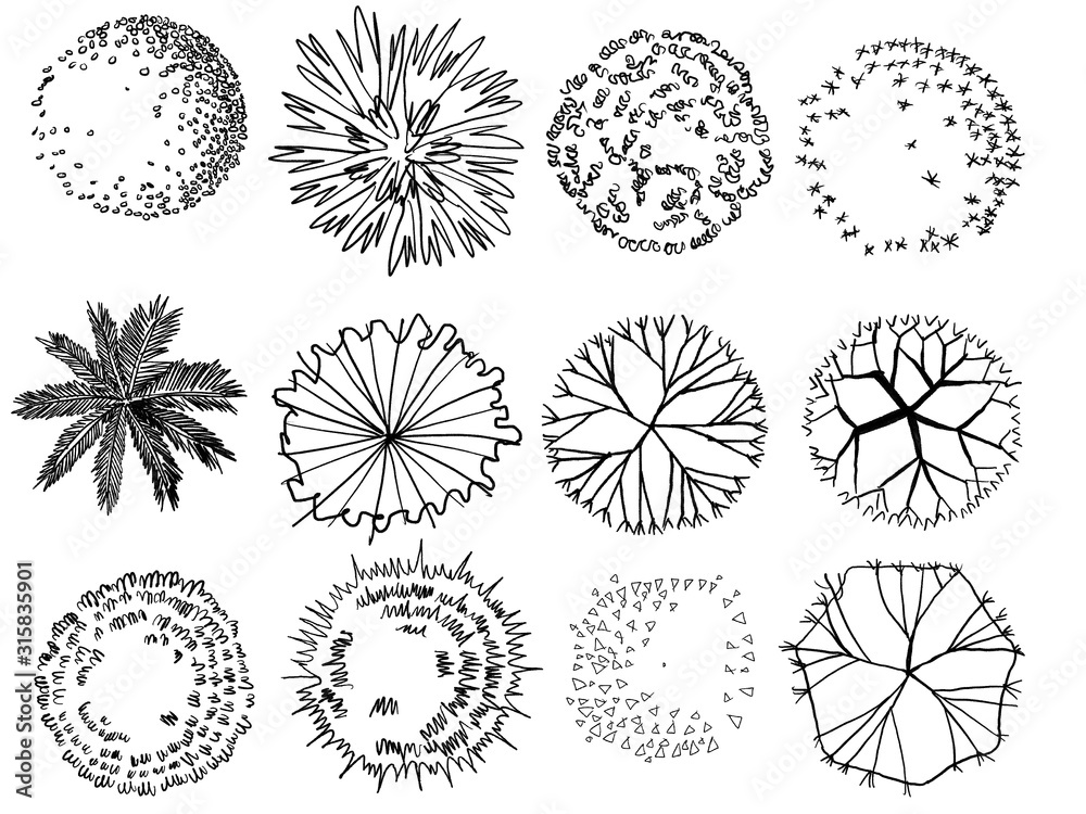 top view set graphic trees.for architecture and landscape design. for ...
