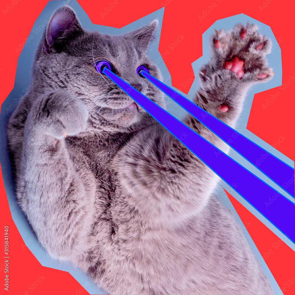Cat with lasers from eyes. Minimal collage fashion concept Stock Photo ...