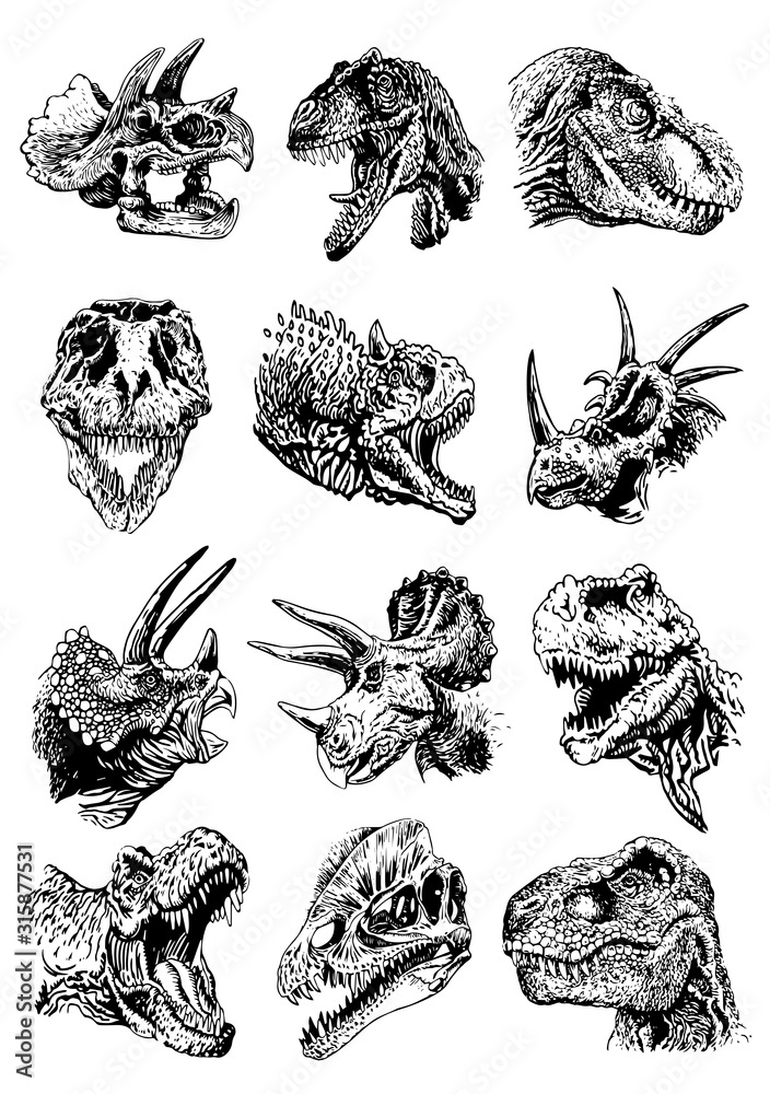 Graphical set of dinosaur portraits isolated on white background ...