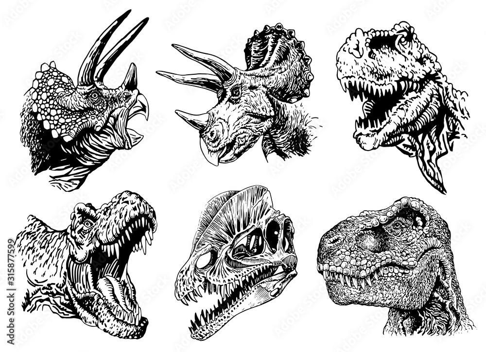 Graphical set of dinosaur portraits isolated on white background ...