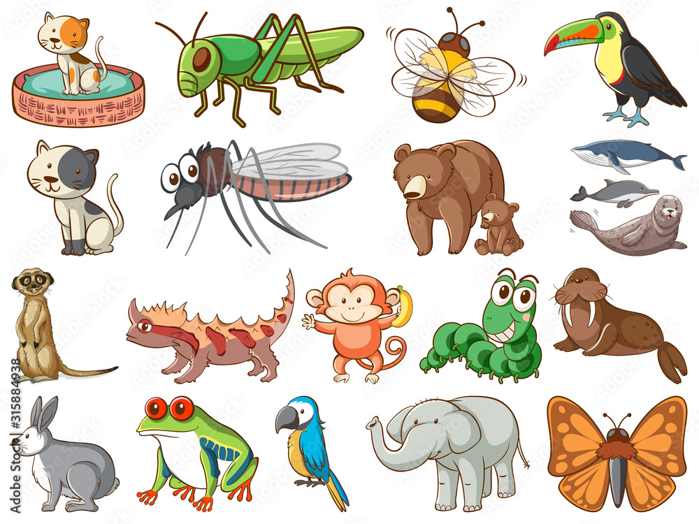 Large set of wildlife with many types of animals and insects Stock ...