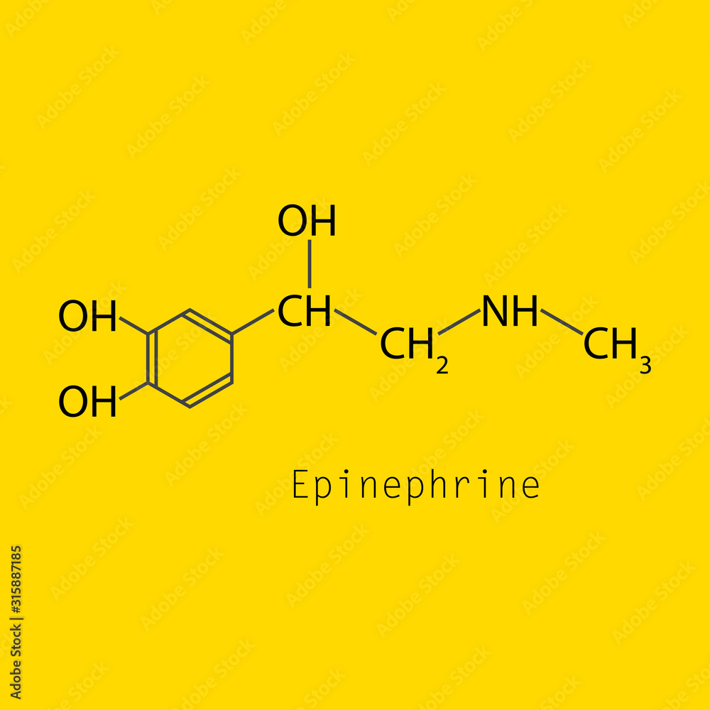 human hormone "Epinephrine" thin flat line icon template for website or ...