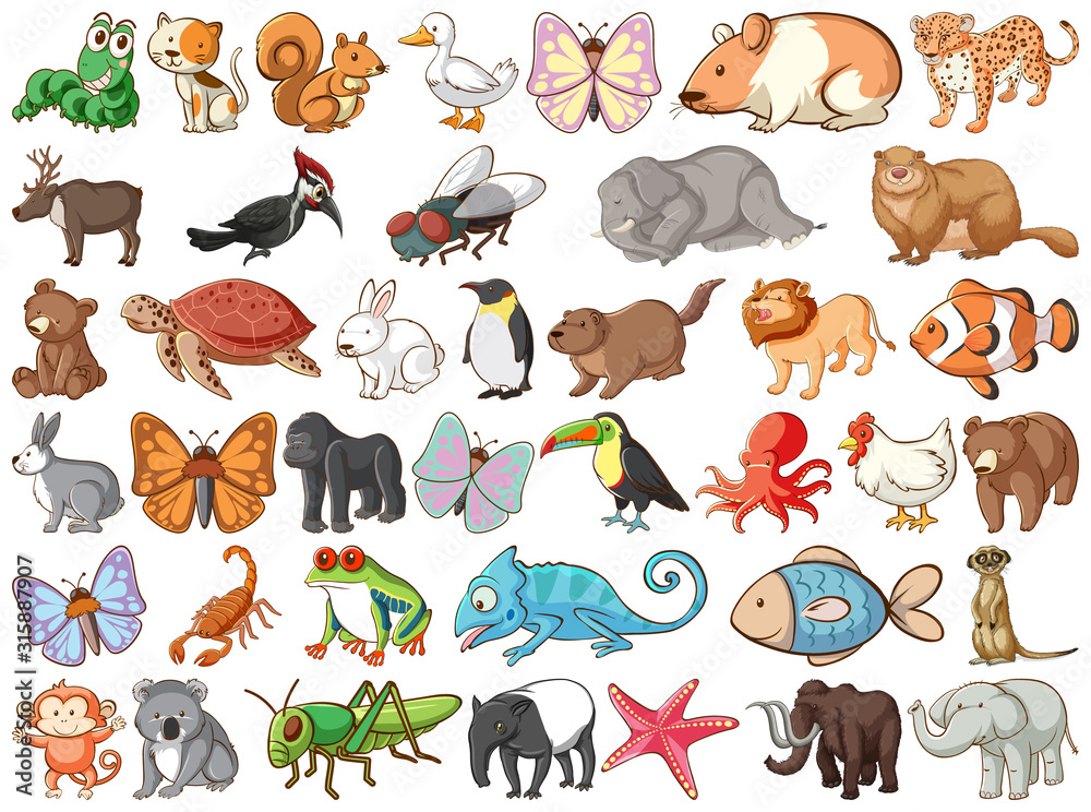 Large set of wildlife with many types of animals Stock Vector | Adobe Stock
