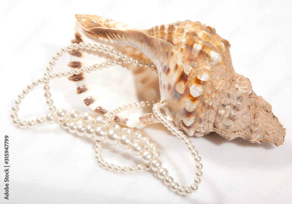Muschel und Perle Stock Photo | Adobe Stock