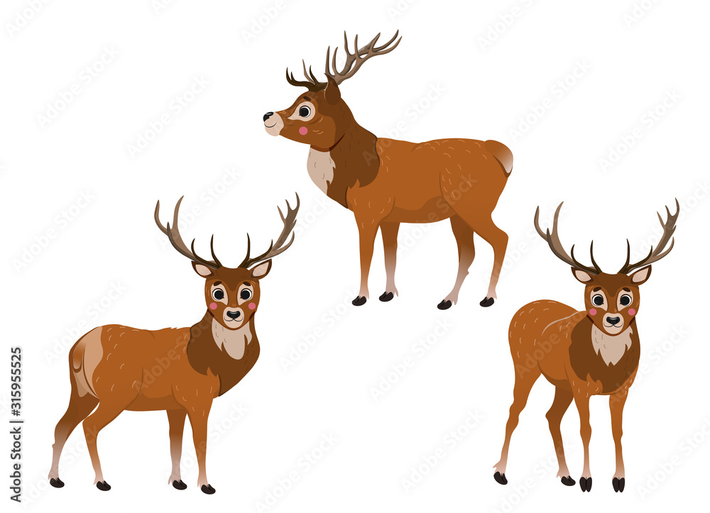 Cute cartoon wild deer vector set. Deers in different postures. Forest ...