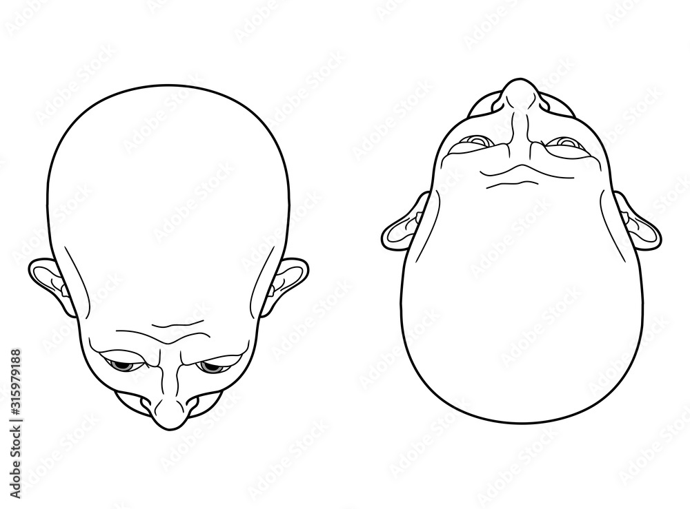 Template Head men top view. Line art. Vector illustration. เวกเตอร์ ...