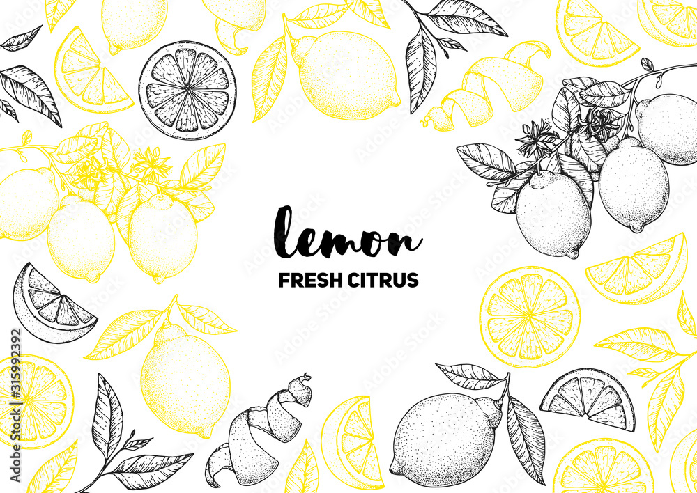 Lemon hand drawn package design. Vector illustration. Lemon sketch for ...