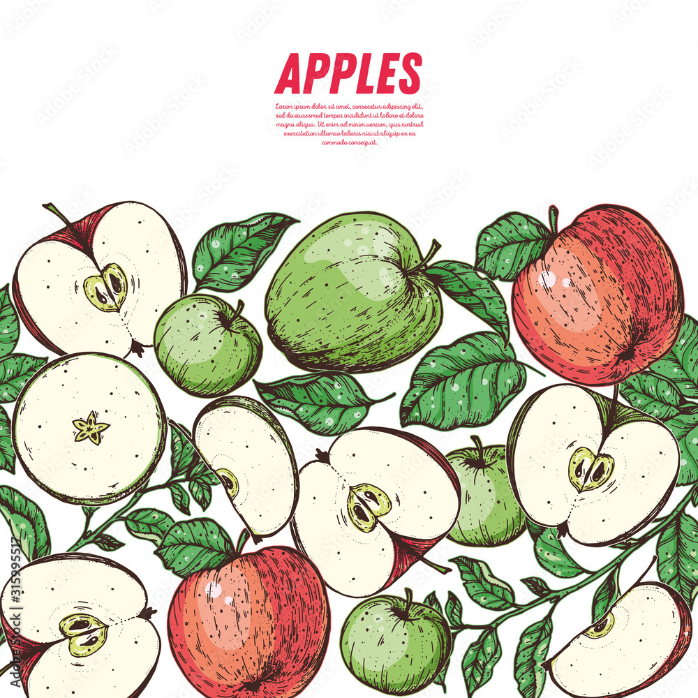 Apple hand drawn illustration. Apple sketch vector illustration. Apple ...