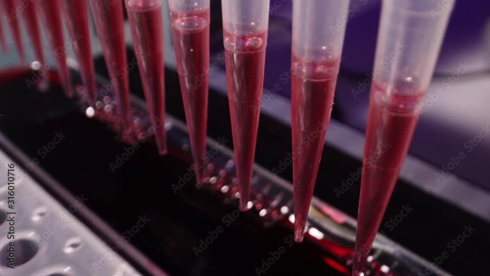 Automated DNA Processor real-time PCR cycler. PCR robotic machine for ...