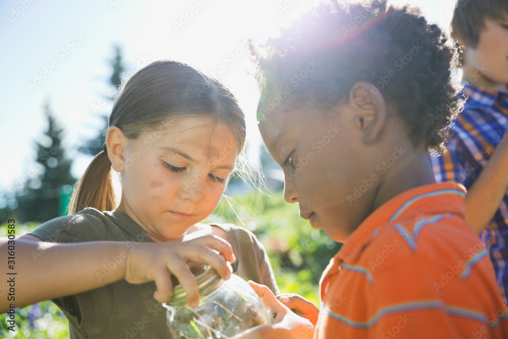 Children catching garden bugs in jar Stock Photo | Adobe Stock