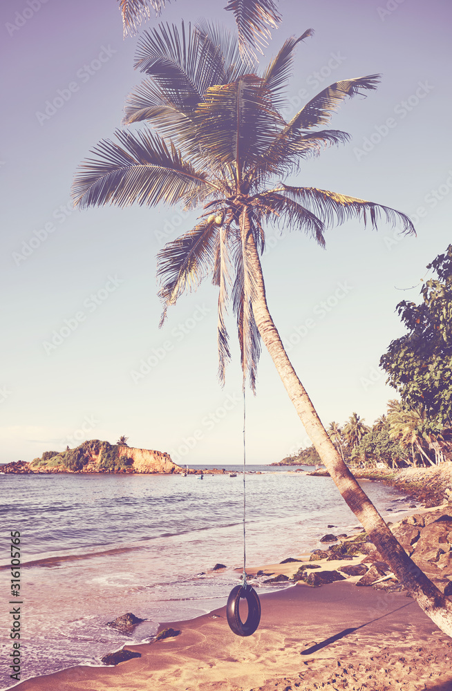 Coconut palm tree with tire swing on a tropical beach, summer holiday ...