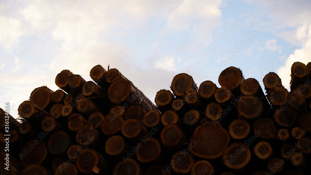 Wood mining. wooden sawn logs in an open-air warehouse. stacked wooden ...