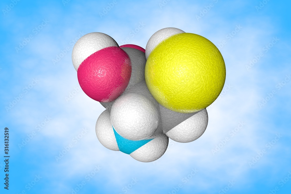 Molecular model of cysteine. Atoms are represented as spheres with ...
