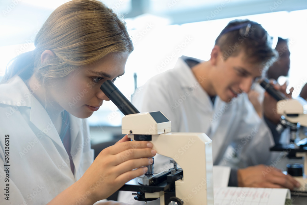 College students using microscopes, conducting scientific experiment in ...