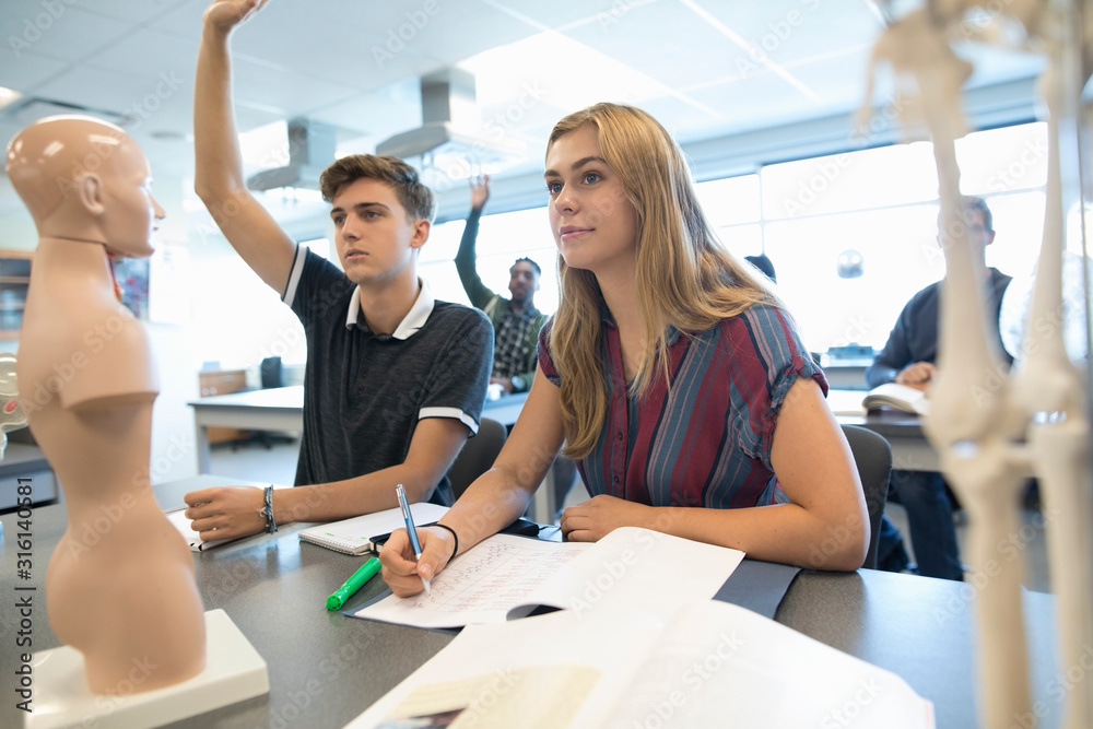 College students with anatomy model in laboratory classroom Stock Photo ...