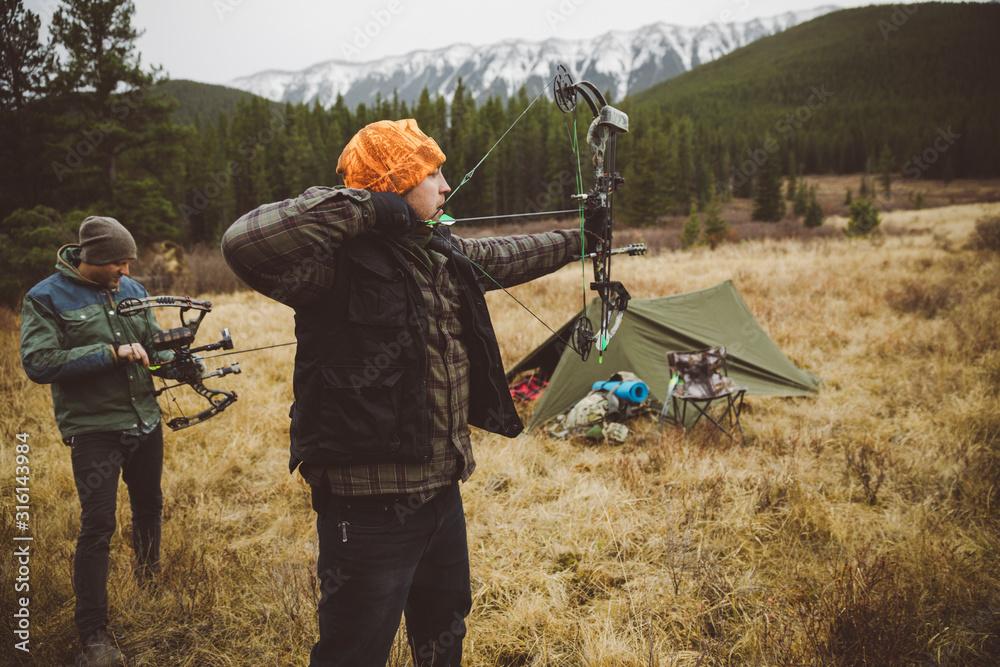 Male hunter friends aiming hunting compound bows outside tent at ...