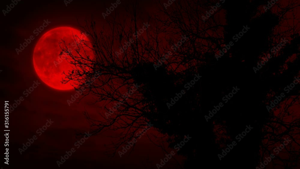Scary Red Moon And Old Overgrown Tree Stock Video | Adobe Stock