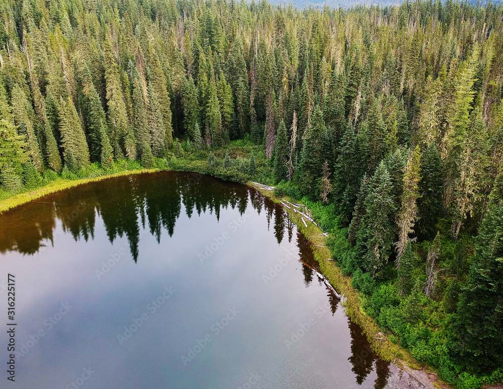 Stunning Olallie Lake with the forest reflecting in the pristine water ...