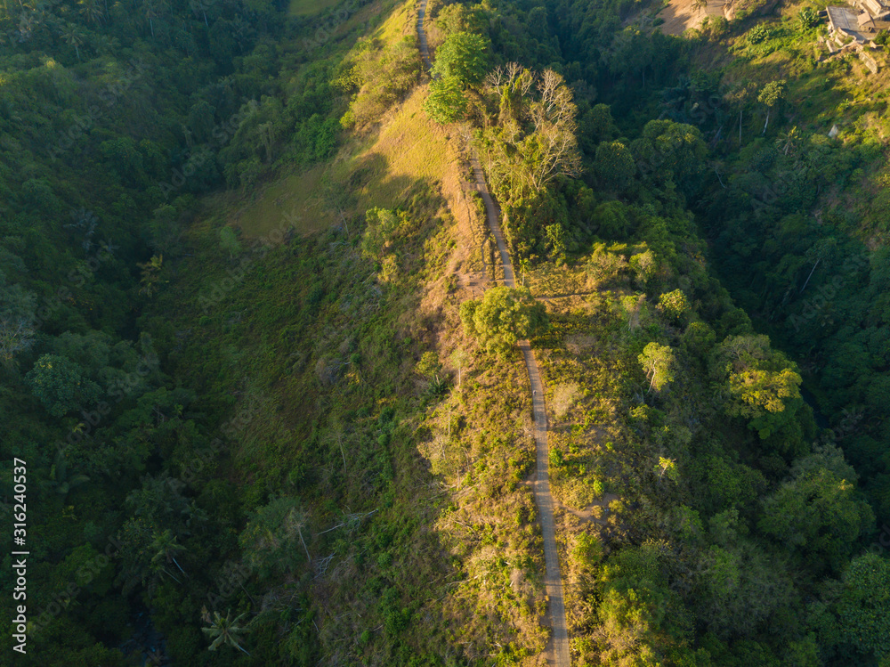 Aerial top view of Campuhan Ridge Walk, Quiet morning scenic Green Hill ...