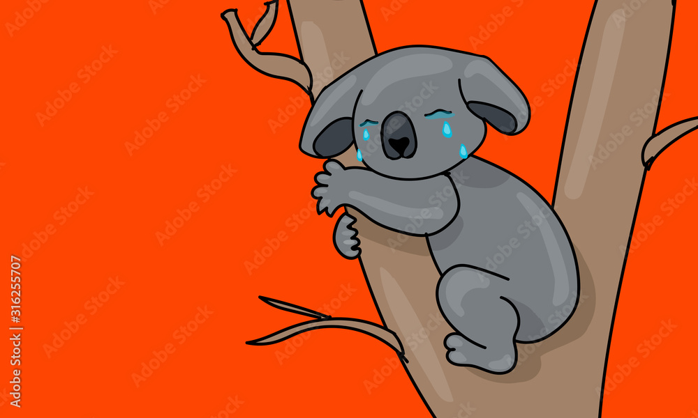 Koala is crying and sitting on a tree. Fire in Australia. Red lush lava ...