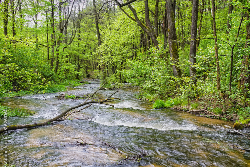 Szumy na Tanwi (Cascades on Tanew River) Roztocze (Roztochia ...