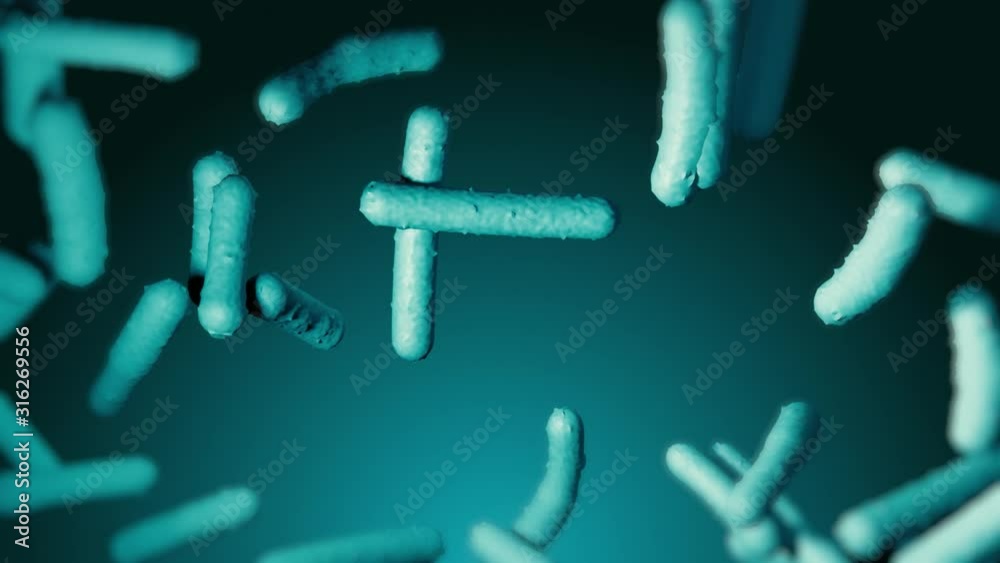 Vidéo Stock Probiotic lactobacilli under microscope. Scientific 3d ...