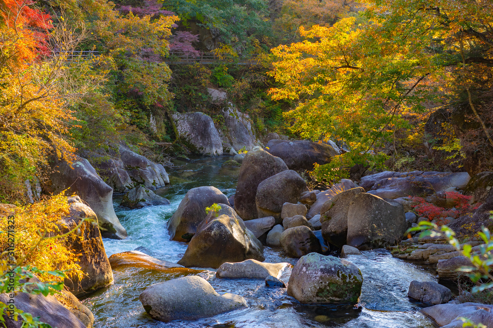 Stockfoto Kofu. Japan. Autumn canyon. Mountain river in the Shosenkyo ...