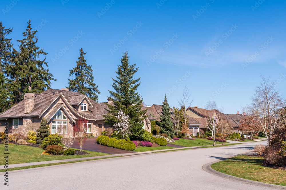 Perfect Suburban Neighborhood