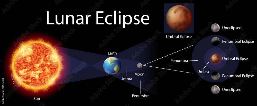 Diagram showing lunar eclipse on earth Stock Vector | Adobe Stock