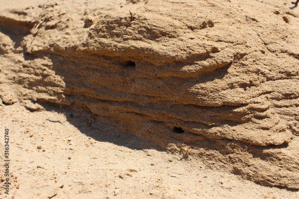 the sandy soil is compressed in layers in the desert with burrows for ...