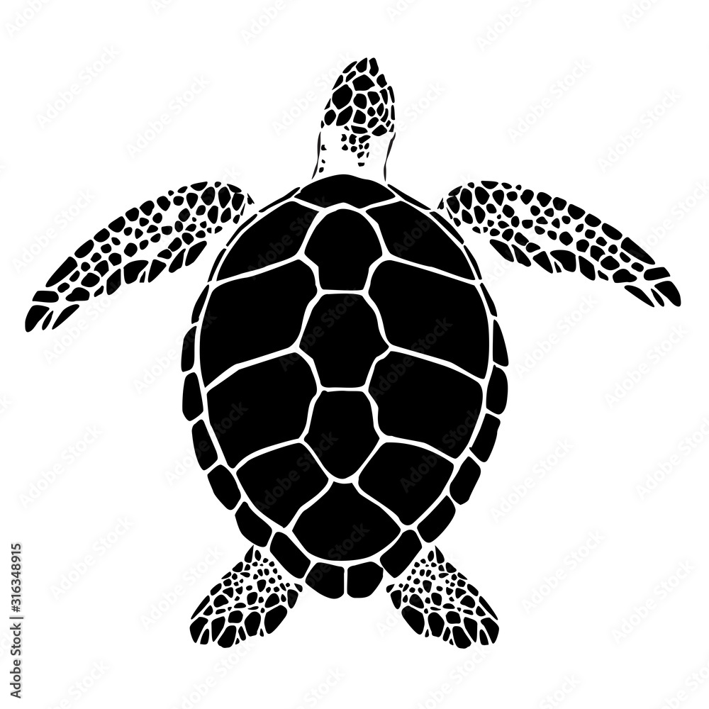 graphic sea turtle,vector illustration of sea turtle,vector of turtle ...