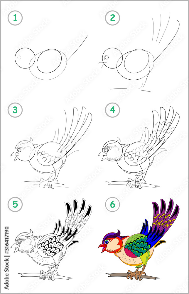How to draw step by step a cute little bird. Educational page for kids ...