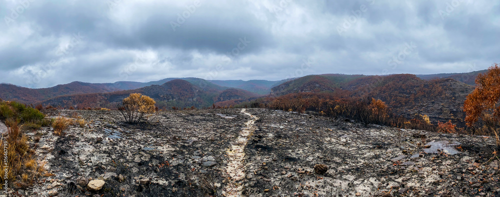 Before and after images of the devastating bushfires in The Blue ...
