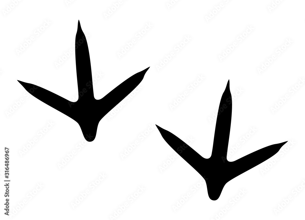 Chicken or bird footprints / tracks flat vector icon for animal apps ...