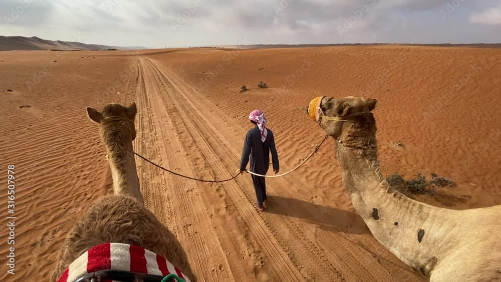 Camel riding in Wahiba Sands desert of Sultanate of Oman vídeo do Stock ...
