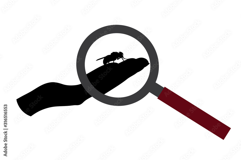 Vector silhouette of fly sitting in human palm under magnifying glass ...
