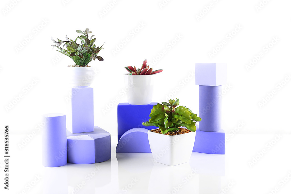 Cylinder Shaped Objects At Home