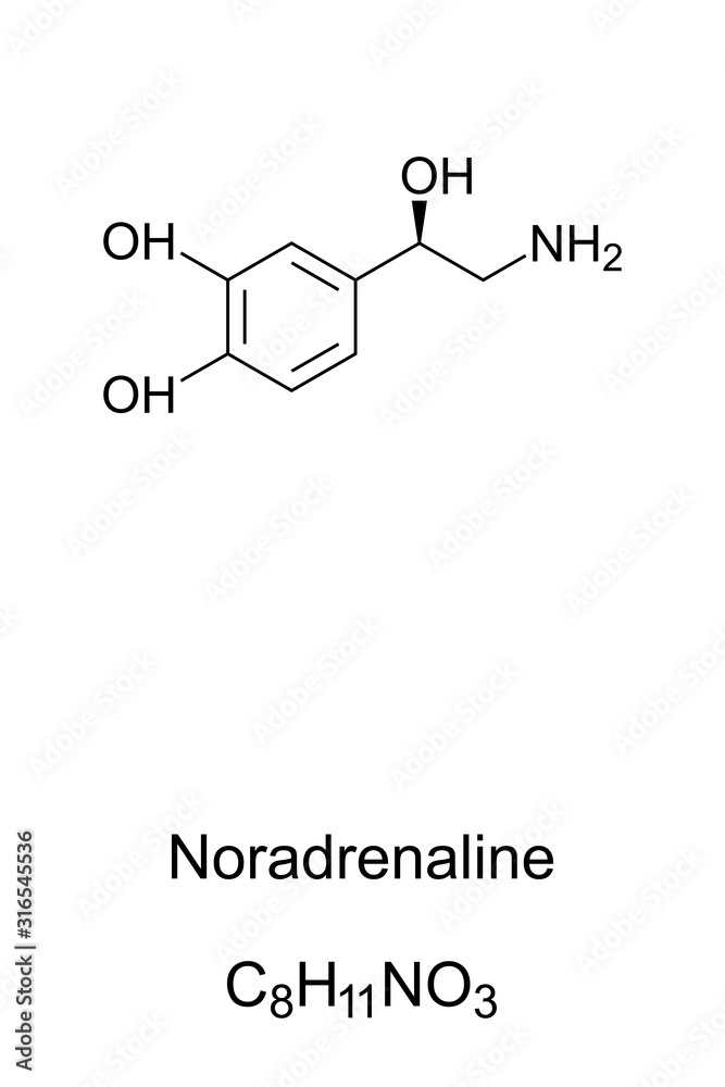 Noradrenaline molecule, norepinephrine skeletal formula. Structure of ...