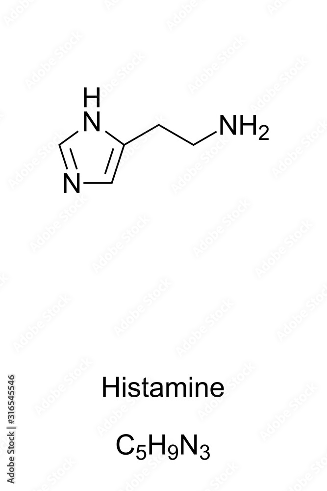 Histamine molecule, skeletal formula. Structure of C5H9N3, is acting as ...